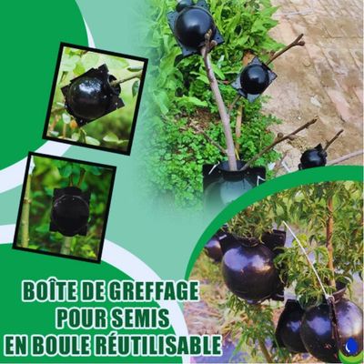 Boîte de Marcottage - Eau Jardin De Chris