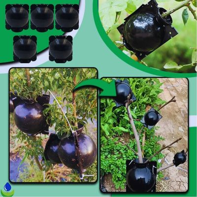 Boîte de Marcottage - Eau Jardin De Chris