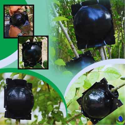 Boîte de Marcottage - Eau Jardin De Chris