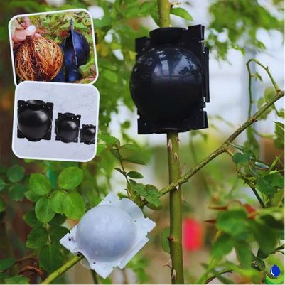 Boîte de Marcottage - Eau Jardin De Chris